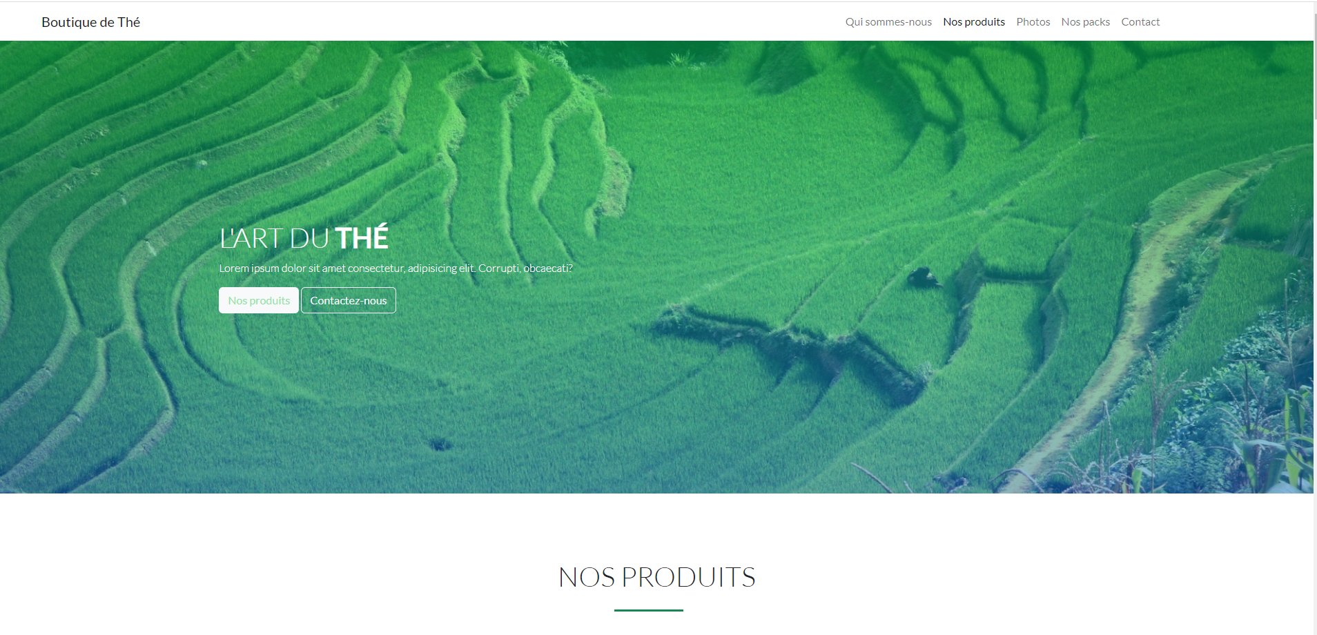 Mathilde Moreau | Developpeur web